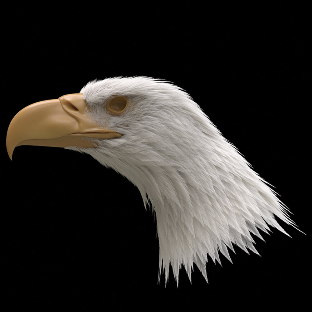 【Houdini 20.0 新機能紹介】Featherシステムを筆頭に新機能が盛りだくさん！